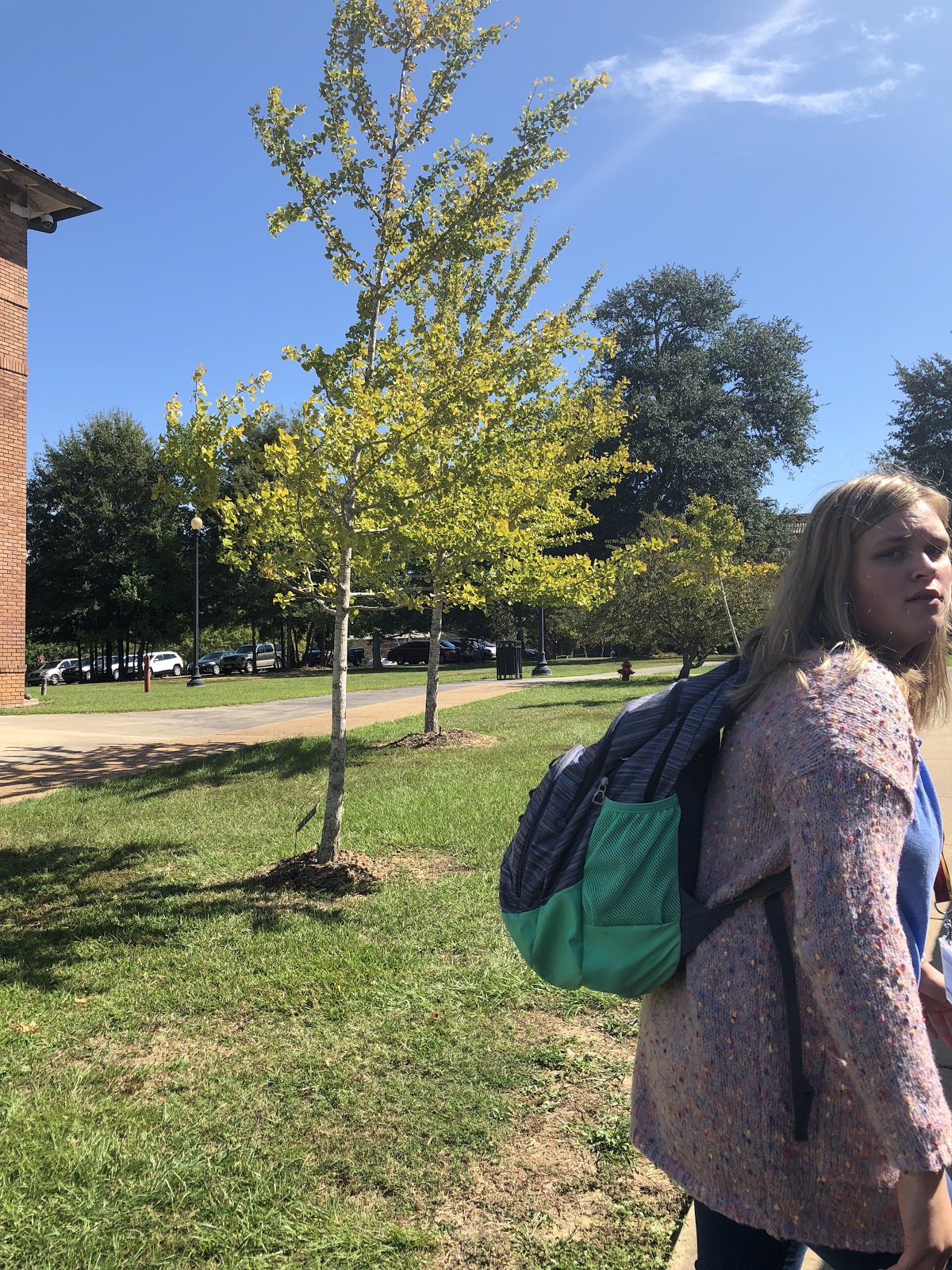 A Brief Reprieve from Fall – Literary Arts Blogspace