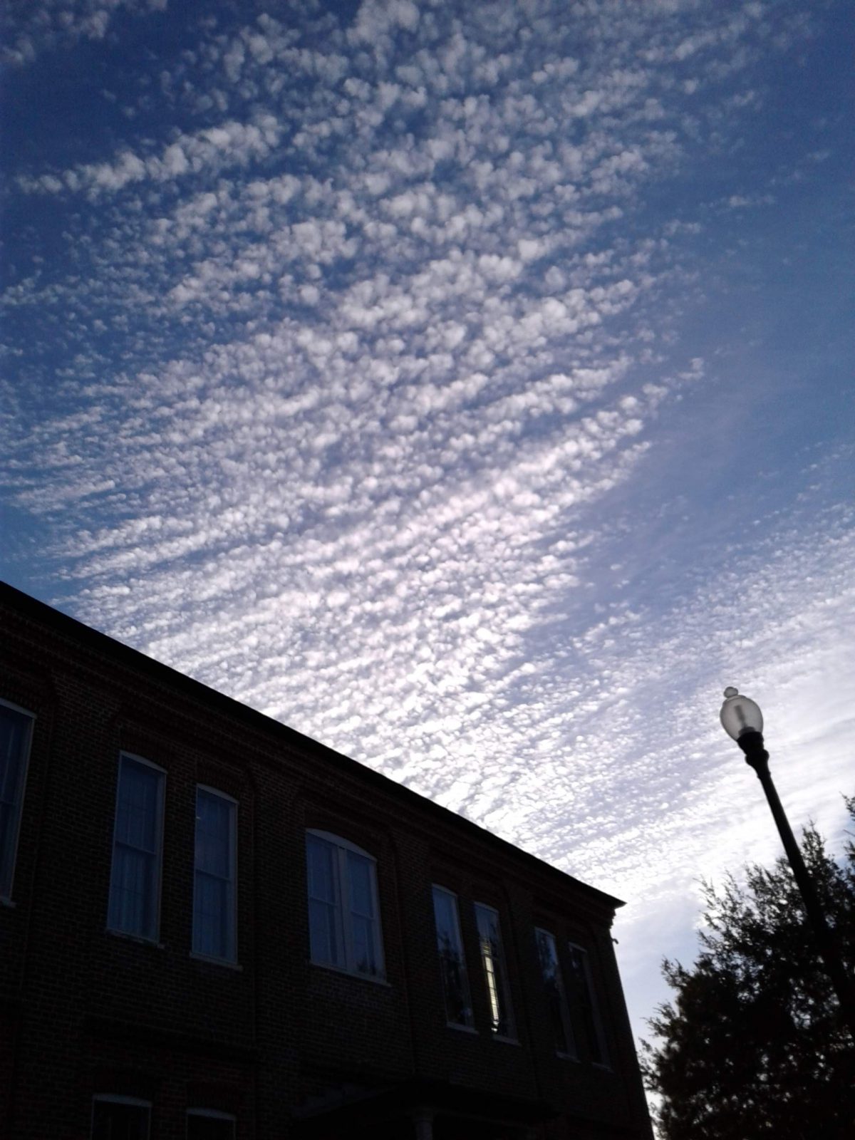 Callie Matthews – Literary Arts Blogspace