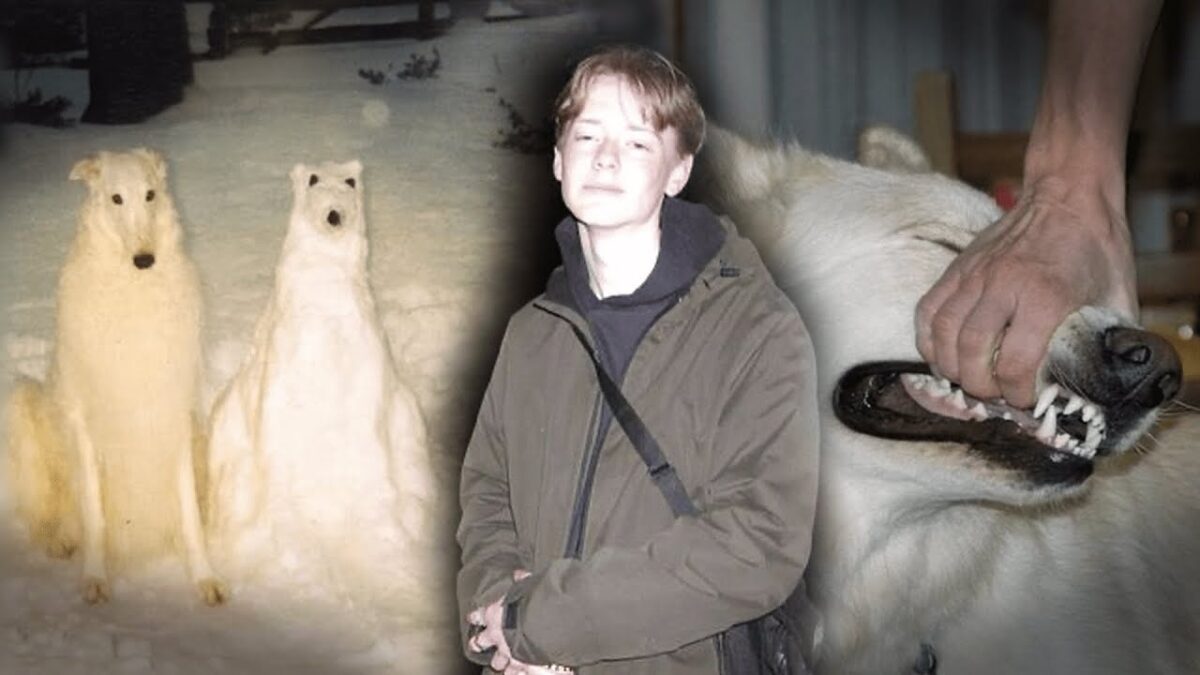 i can’t escape liam mccay and here’s why I’m okay with that. – Literary ...